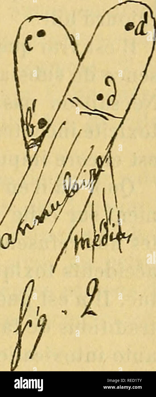 Dessin des doigts hi-res stock photography and images - Alamy