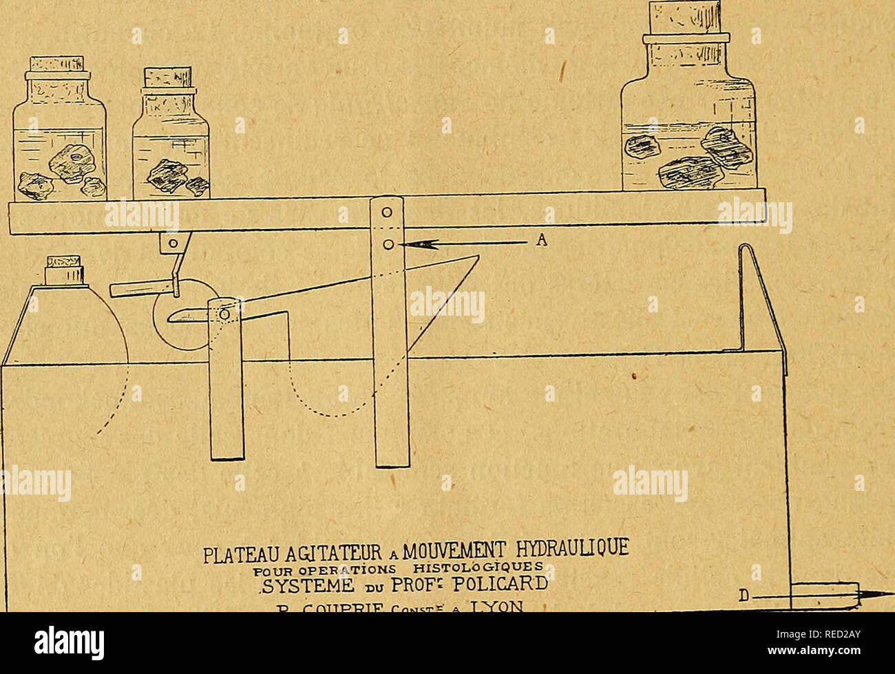Gnation High Resolution Stock Photography and Images - Alamy