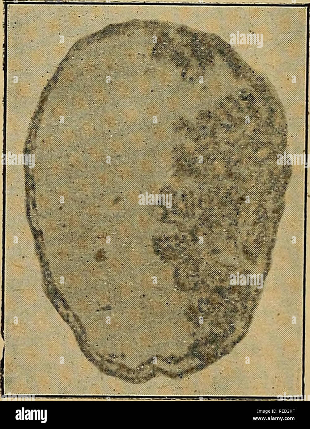 Coupe mesure hi-res stock photography and images - Alamy