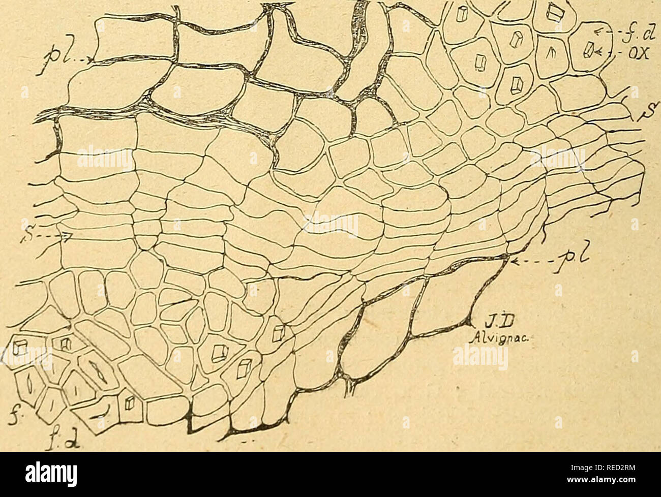Colorent hi-res stock photography and images - Alamy