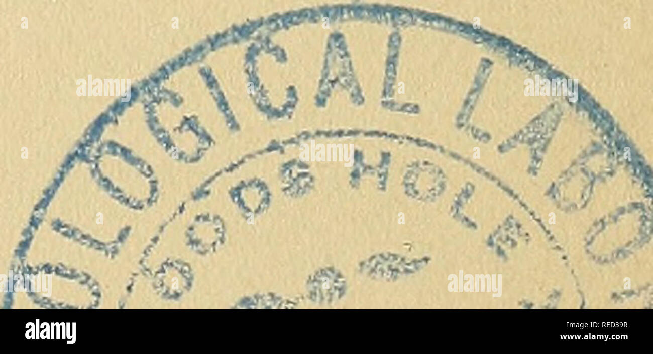 Feux rouges et verts hi-res stock photography and images - Alamy