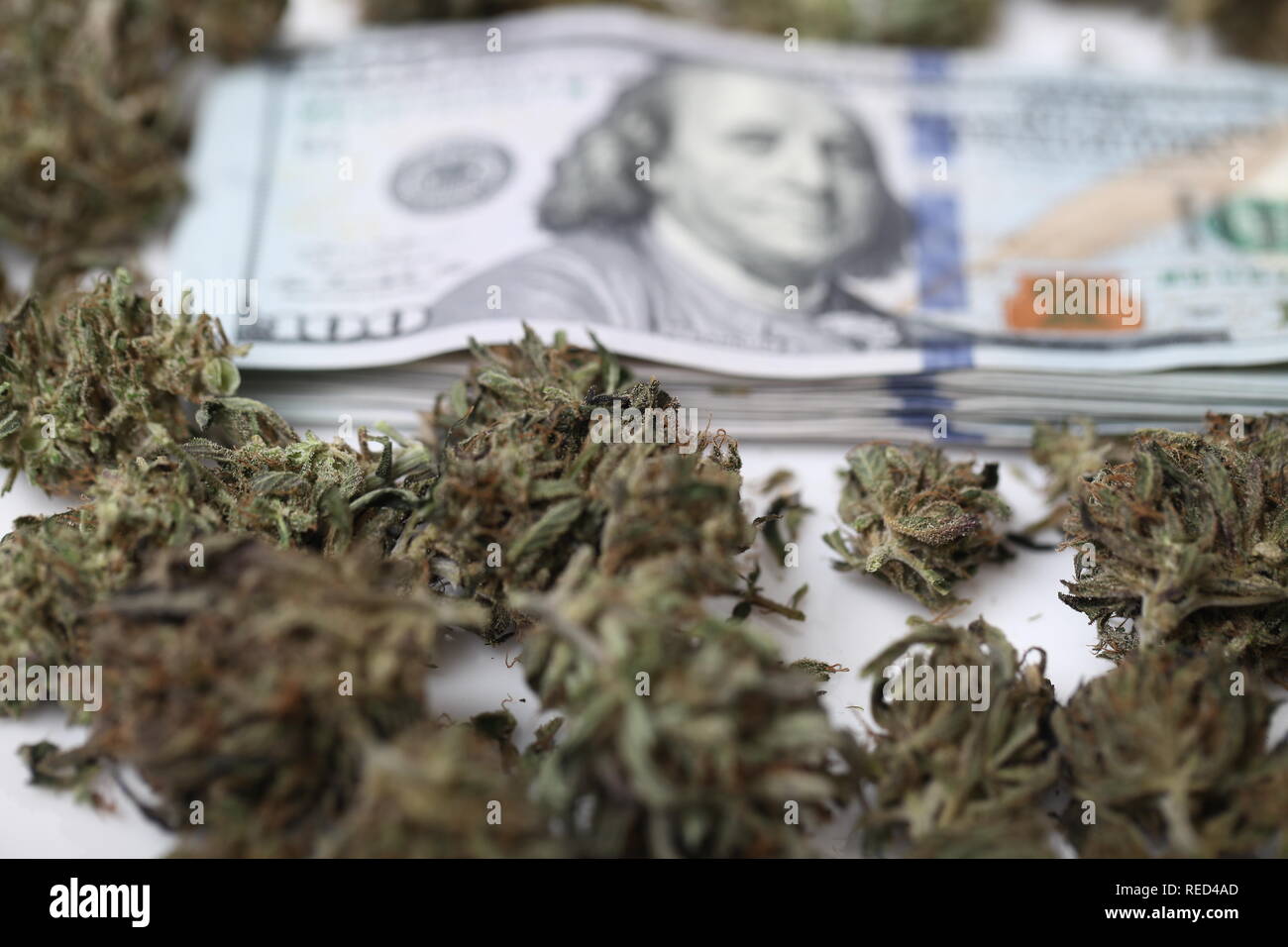 cannabis business concept. Medical Marijuana and Money Stock Photo - Alamy