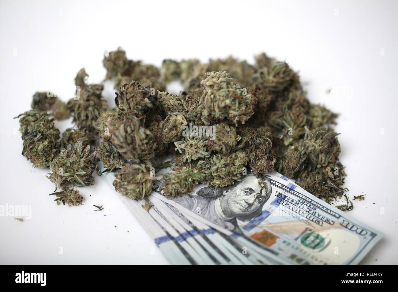 cannabis business concept. Medical Marijuana and Money Stock Photo - Alamy