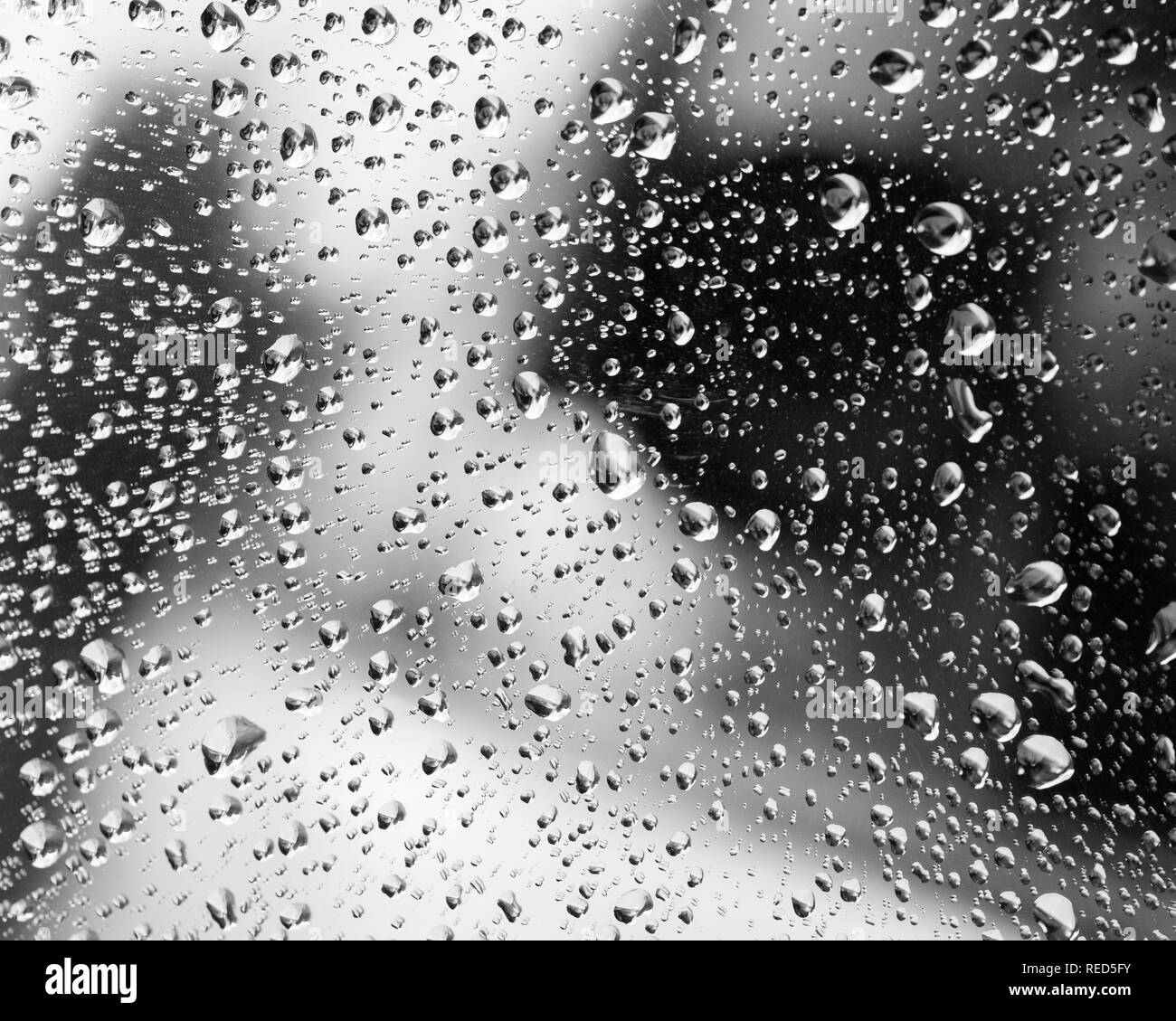 raindrops on glass pane of car windshield during rain shower Stock ...