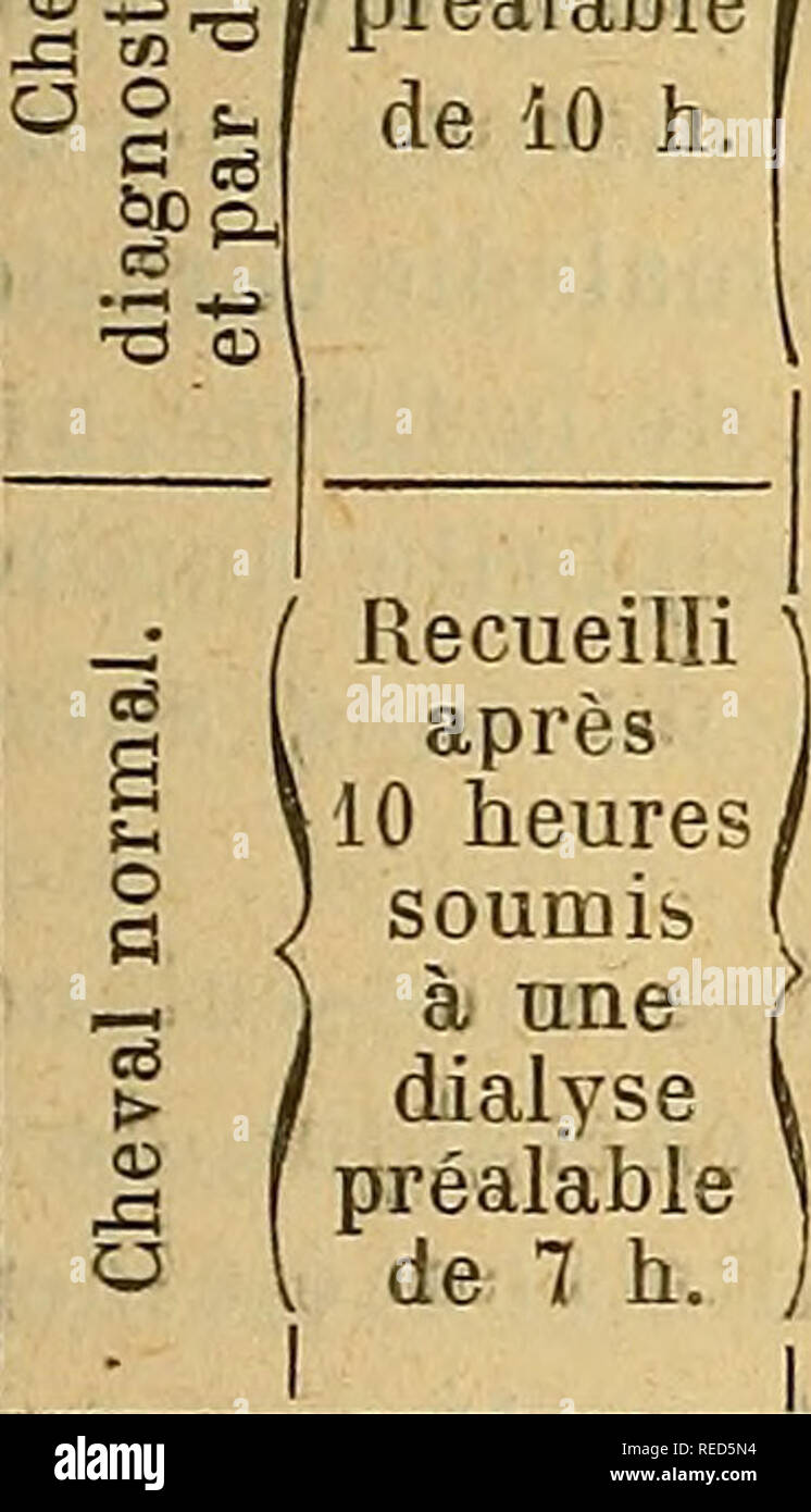 Morveux hi-res stock photography and images - Alamy