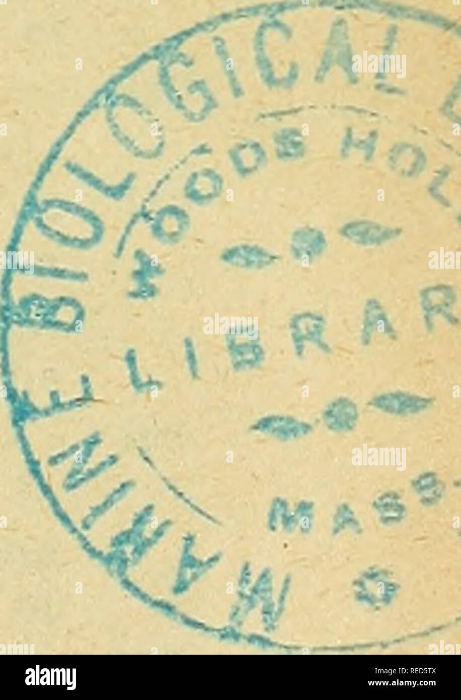 Voie des larmes hi-res stock photography and images - Alamy