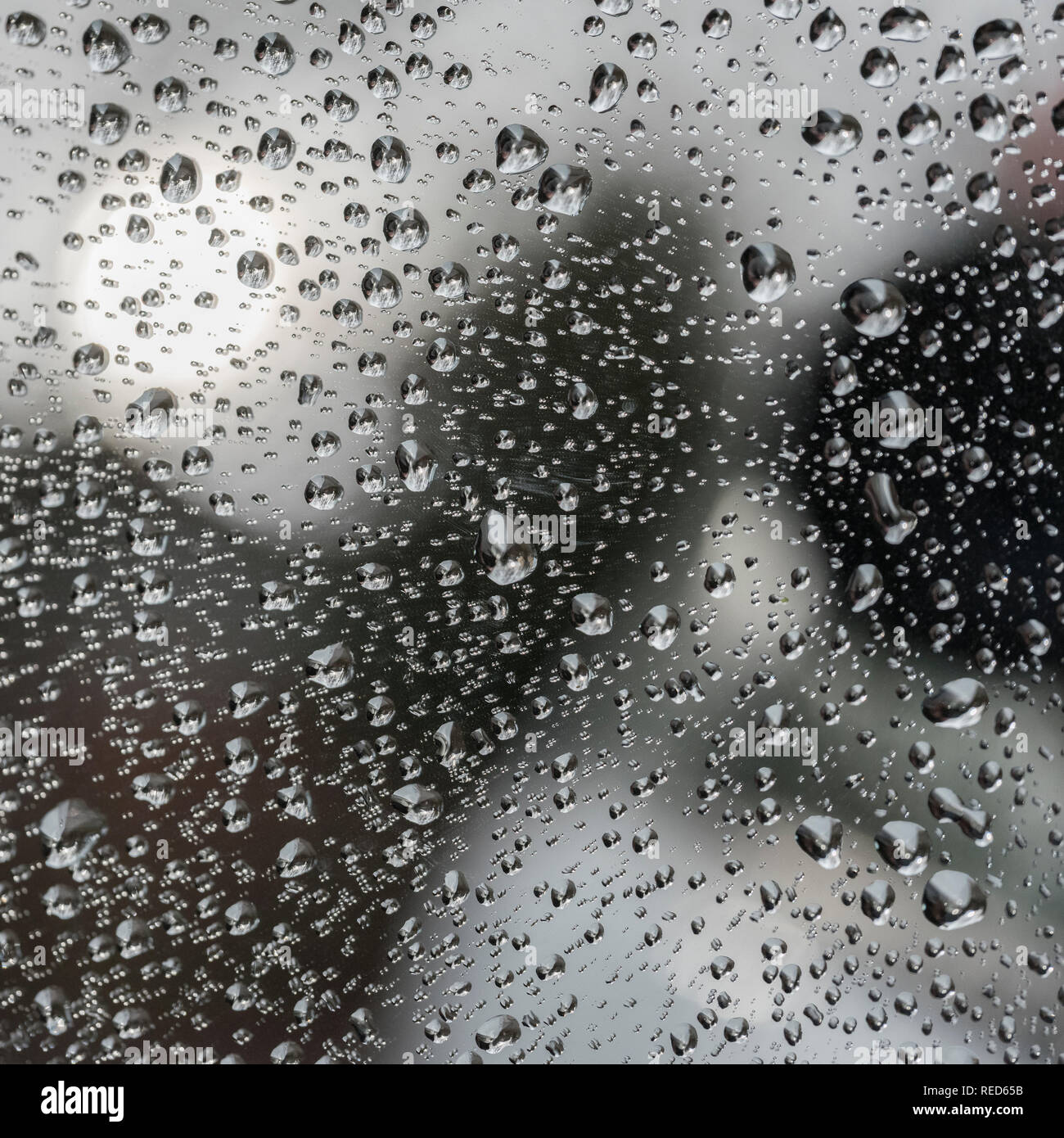 raindrops on glass pane of car windshield during rain shower Stock ...