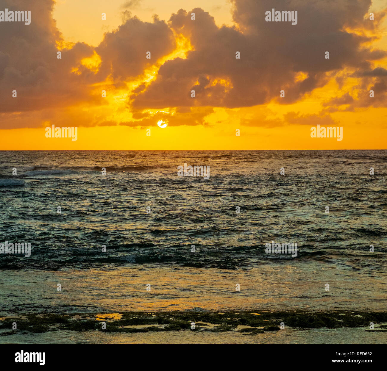 Golden colombia hi-res stock photography and images - Alamy