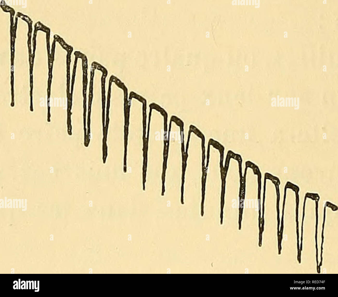 Numero normal hi-res stock photography and images - Alamy