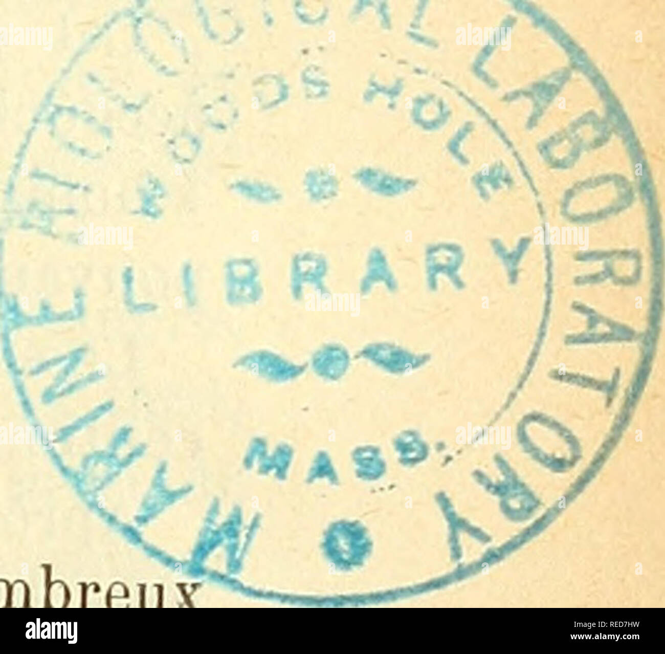 Globules rouges hi-res stock photography and images - Alamy