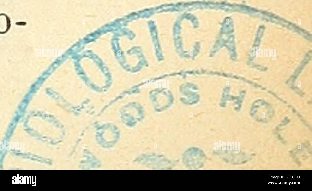 Globules rouges hi-res stock photography and images - Alamy