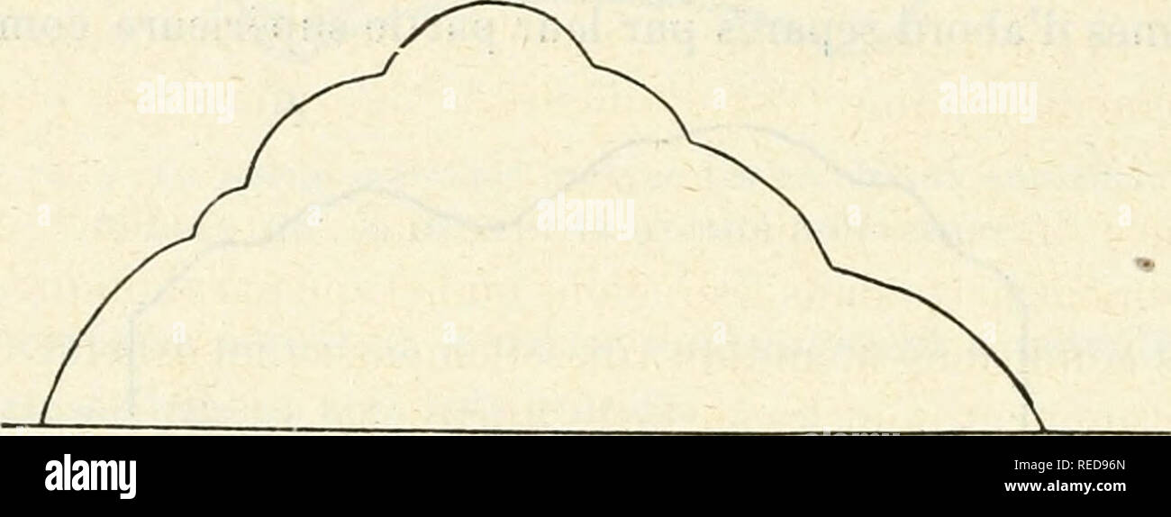 Courbe parabolique hi-res stock photography and images - Alamy