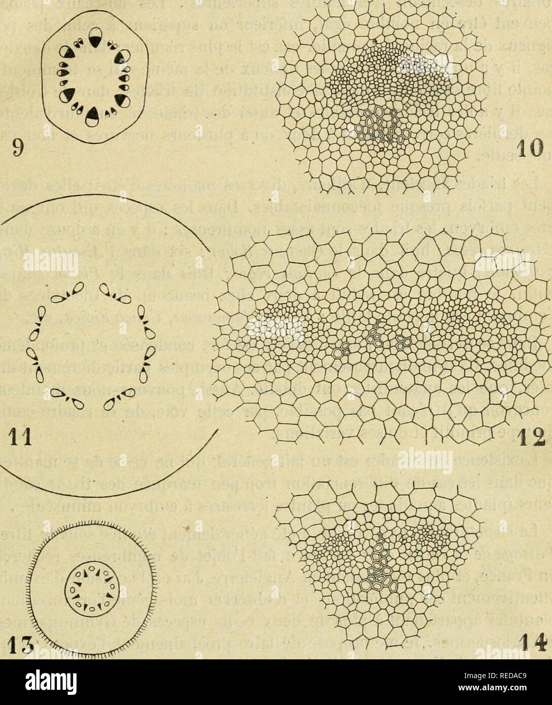Structure principale hi-res stock photography and images - Alamy