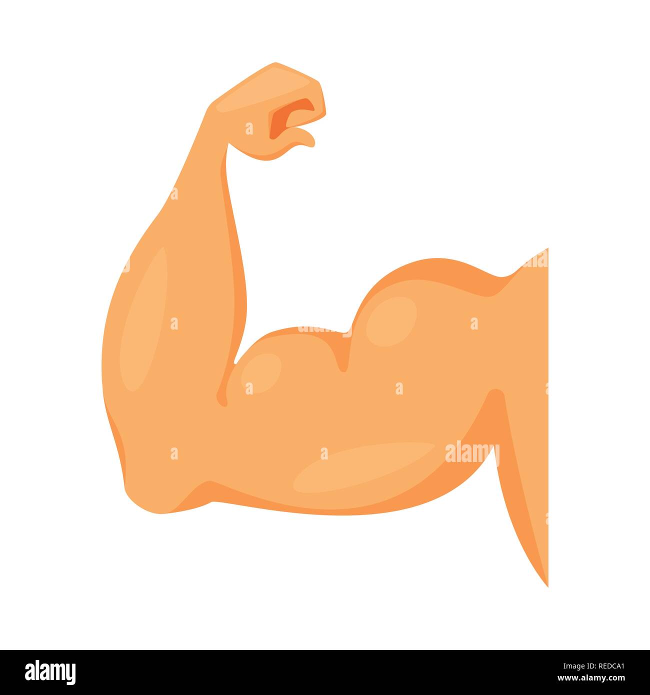 Isolated object of muscle and cells icon. Collection of muscle and ...