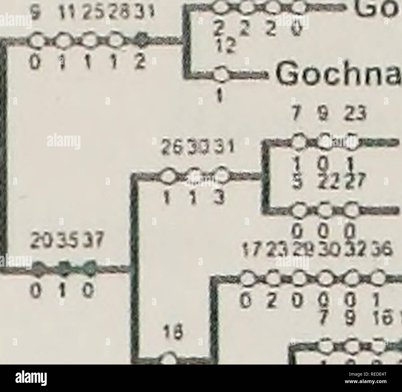 . Compositae newsletter. Compositae. 22 Comp. Newsl. 49, 2011 â ...