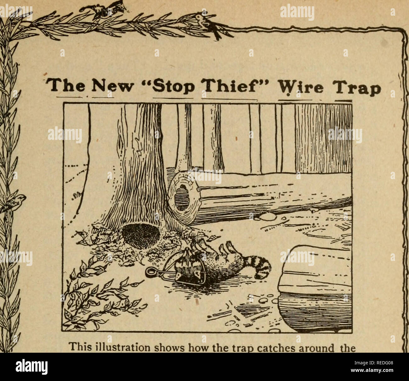 Canadian trappers hi-res stock photography and images - Alamy