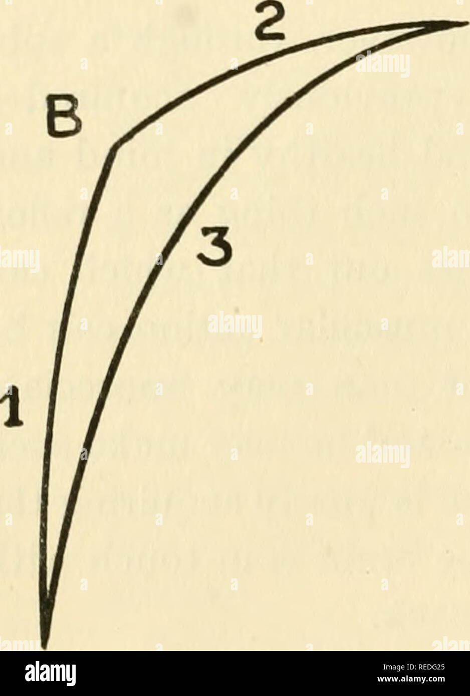 . The complete science of fly fishing and spinning. Fly-casting. [from ...