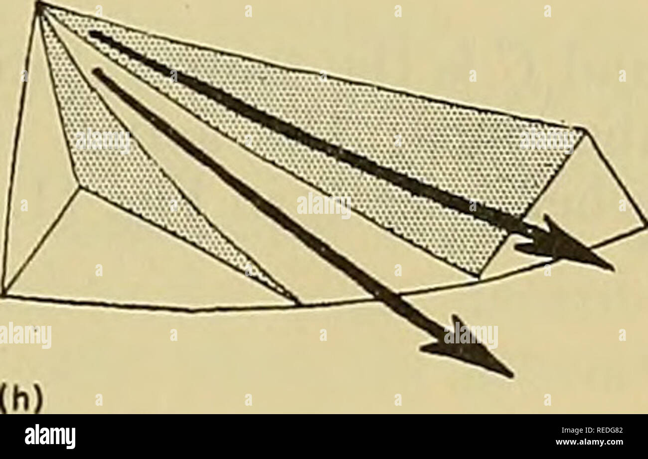 . Compendium of meteorology. Meteorology. (f). Fig. 10.—Schematic ...