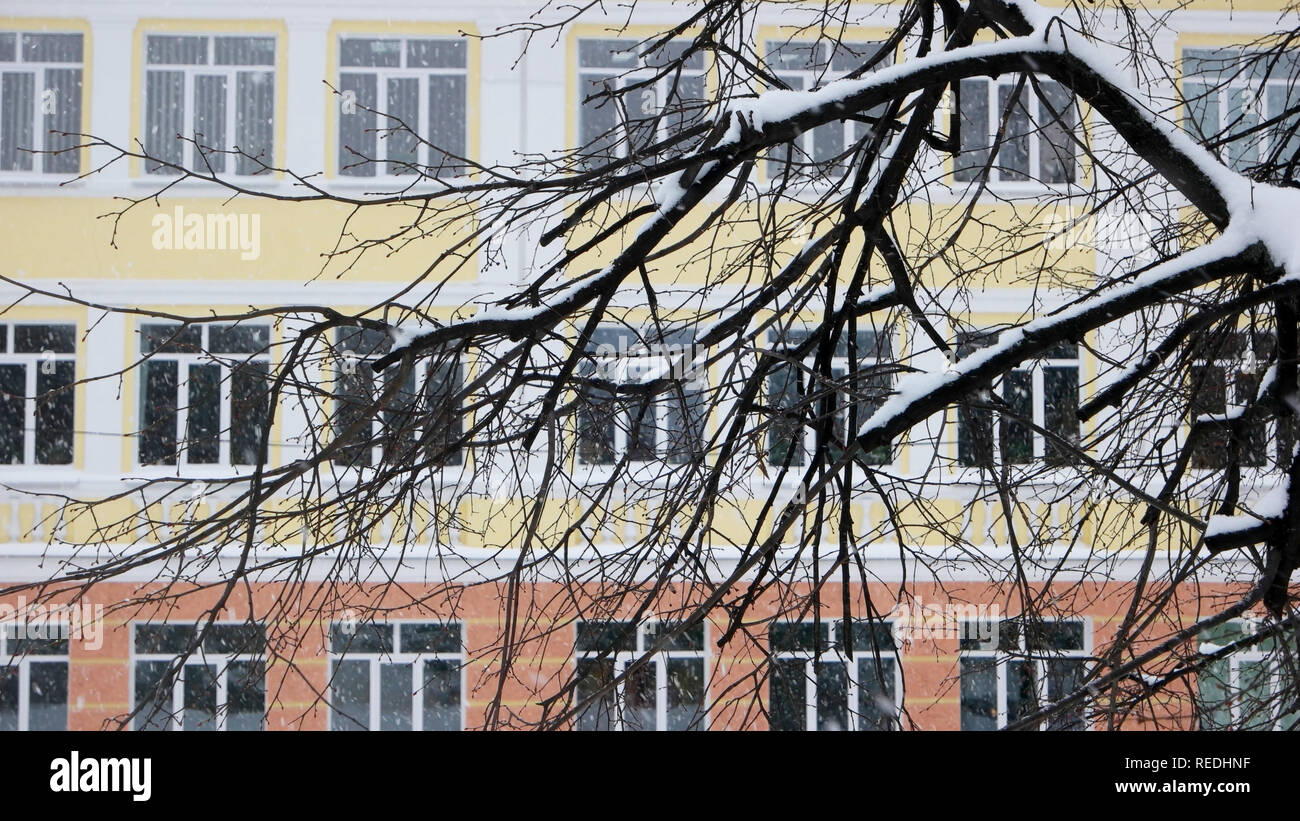 Tree branches covered with snow. Apartment building during the snow ...
