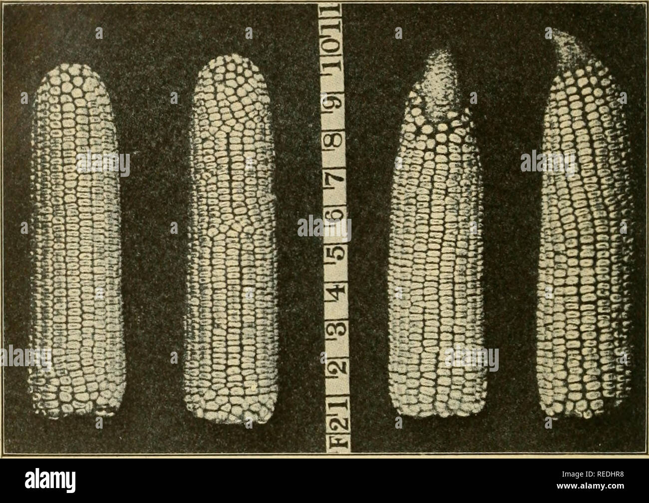 Small indentation hi-res stock photography and images - Alamy