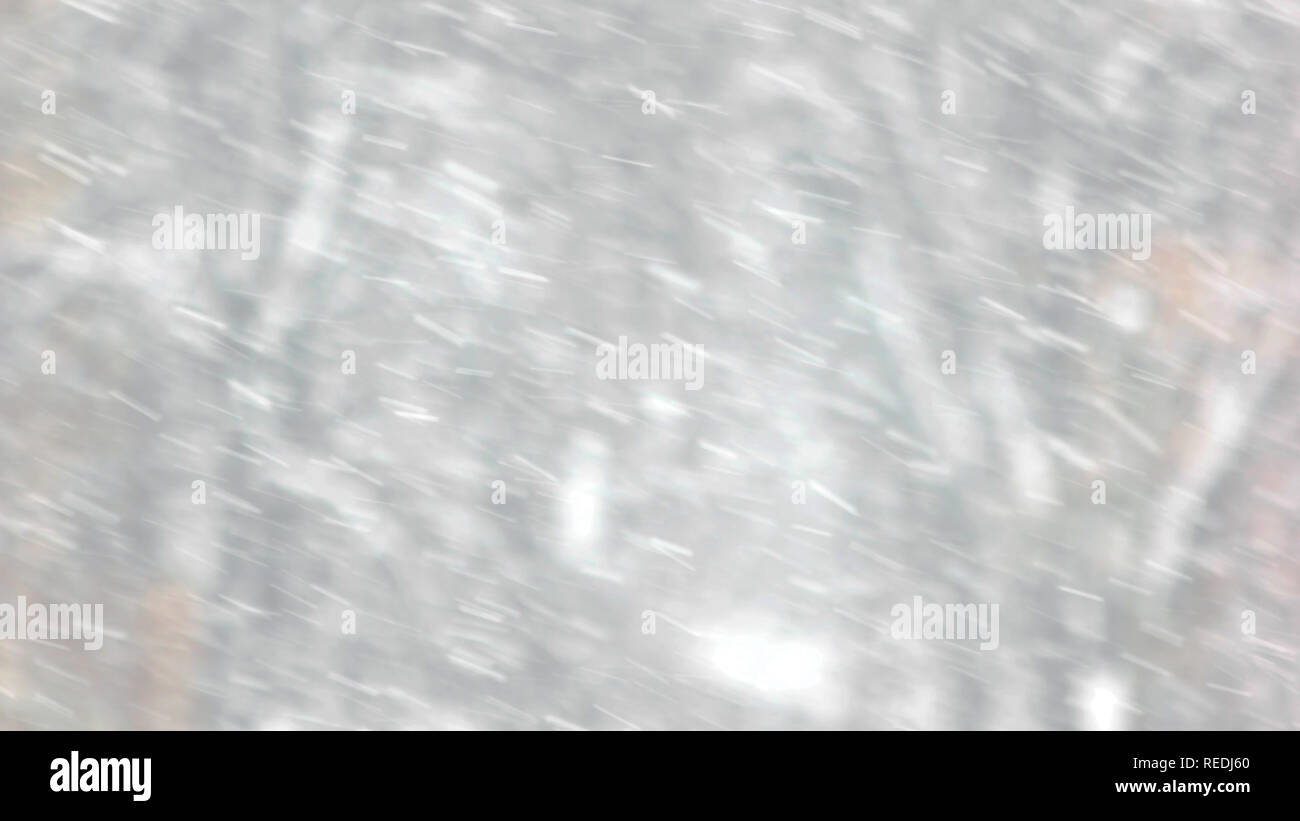 Falling snow against trees hi-res stock photography and images - Alamy