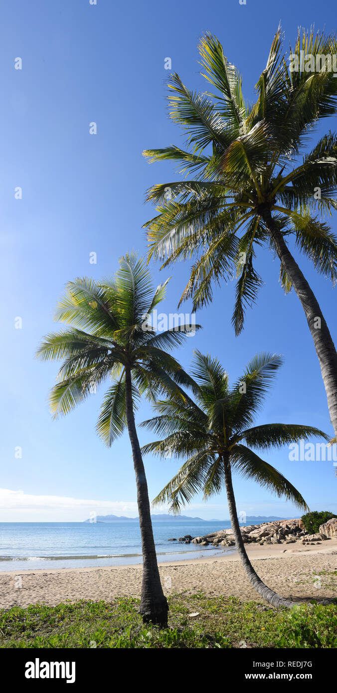 Bowen australia hi-res stock photography and images - Alamy