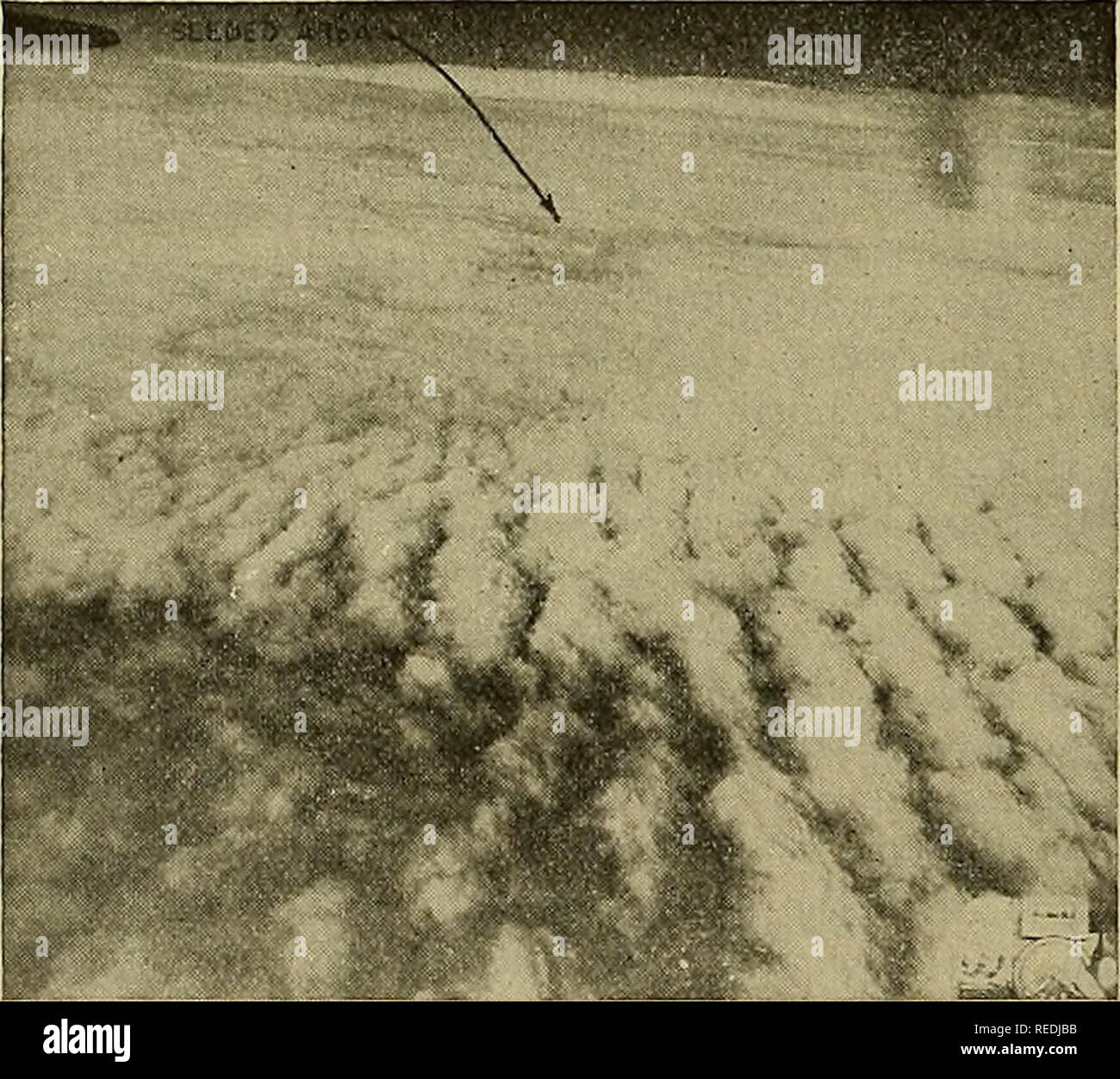 Cloud shaped note hi-res stock photography and images - Alamy