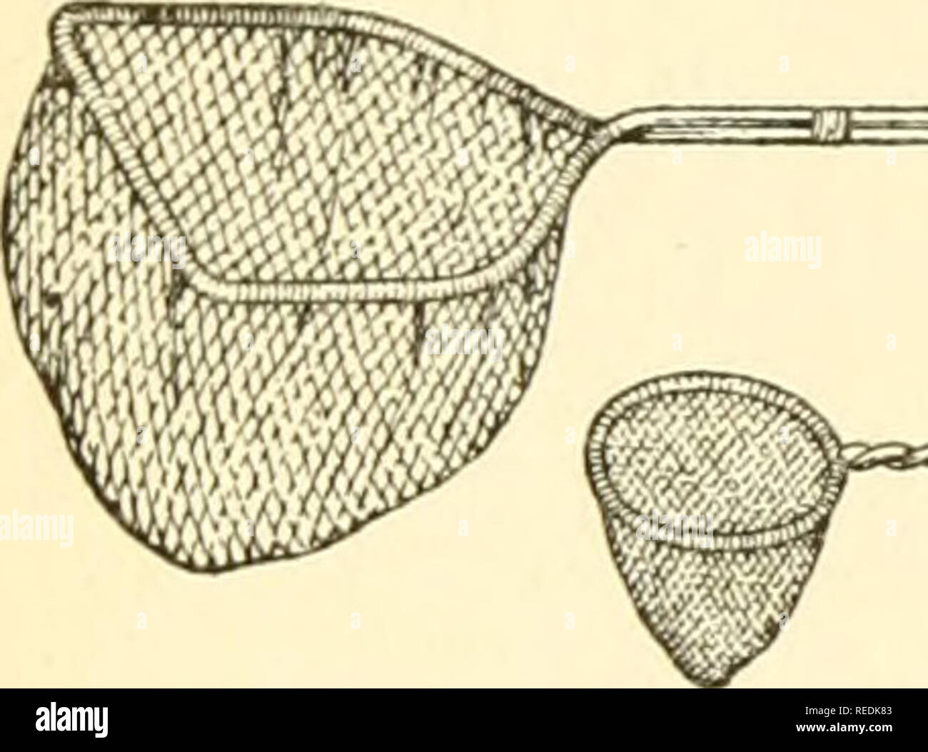 Catch a fish with net from aquarium hi-res stock photography and images ...