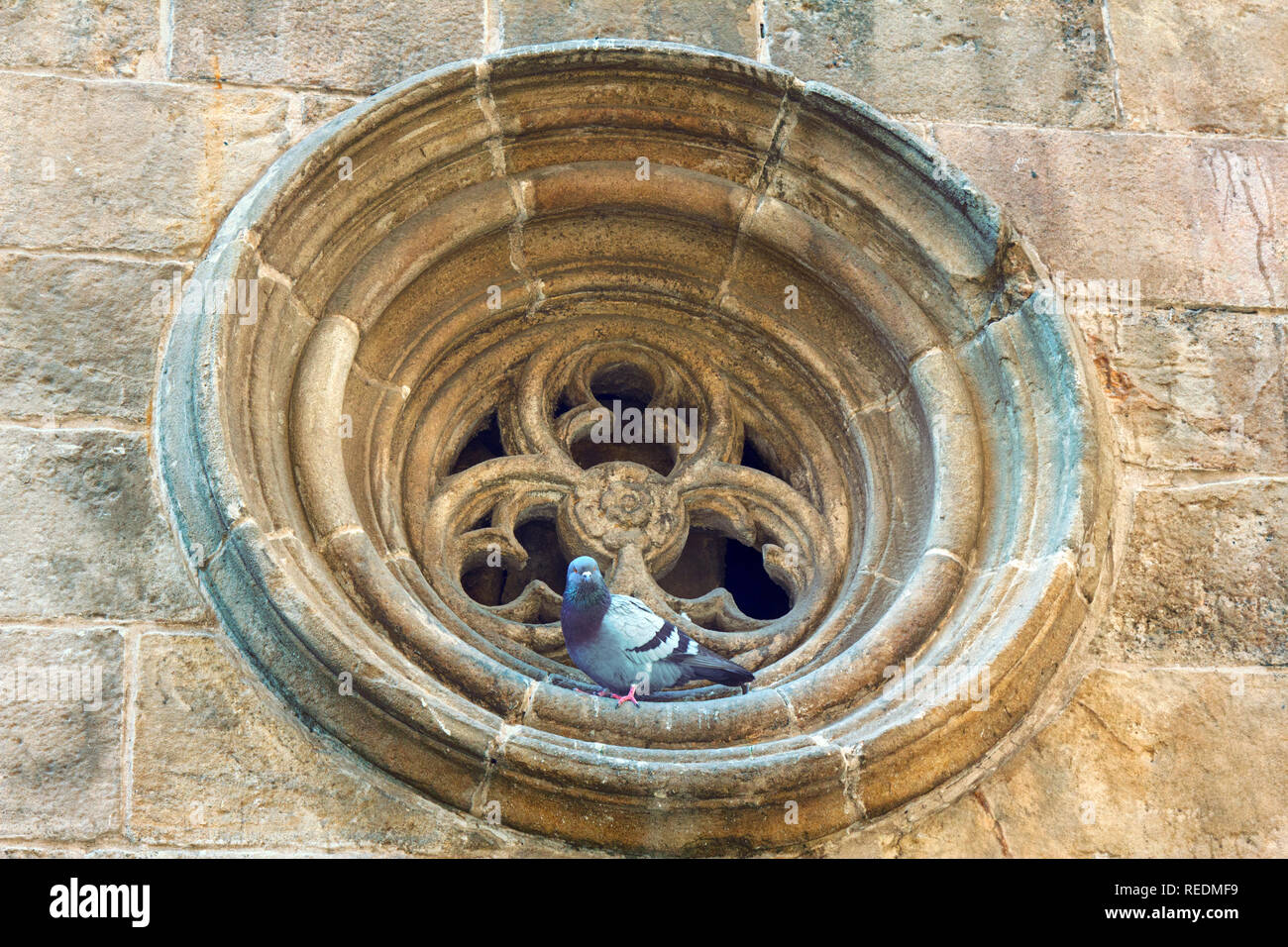 Trefoil windows hi-res stock photography and images - Alamy
