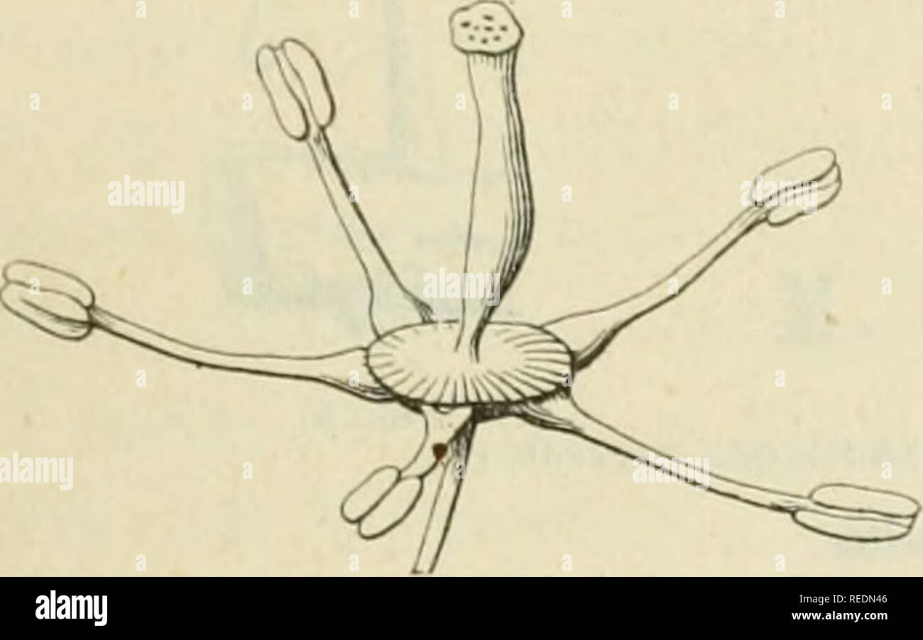 Sij font hi-res stock photography and images - Alamy