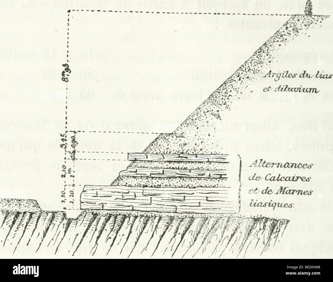 Siliceuses hi-res stock photography and images - Alamy