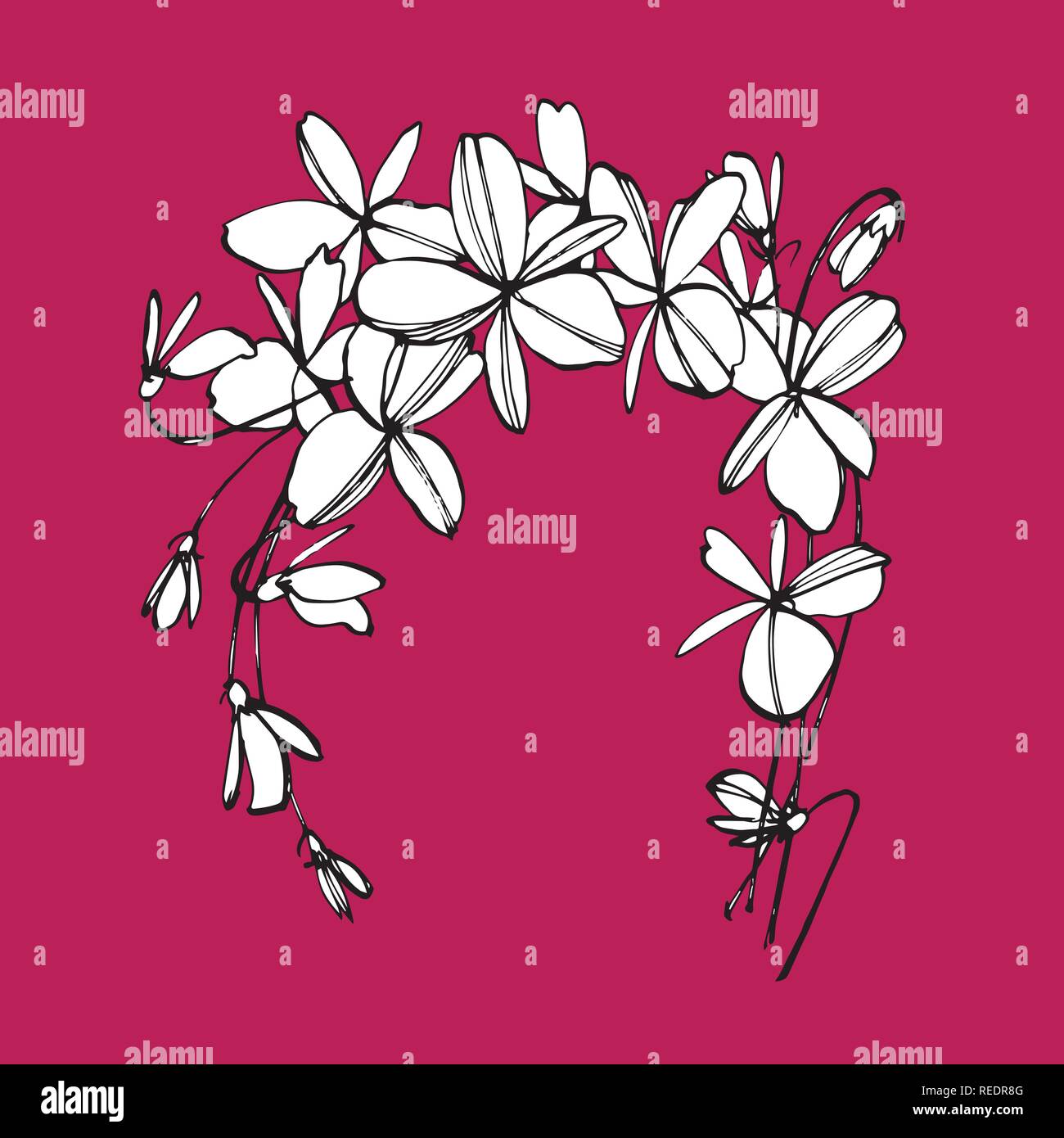Collection of easter flowers, hand draw illustration. Draw vector ...