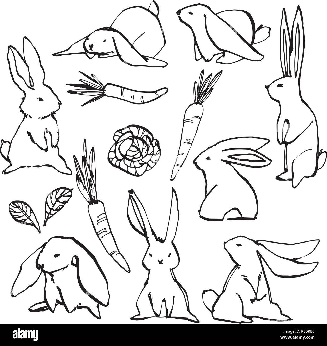 Collection of some cute rabbits, hand draw illustration. Draw vector ...