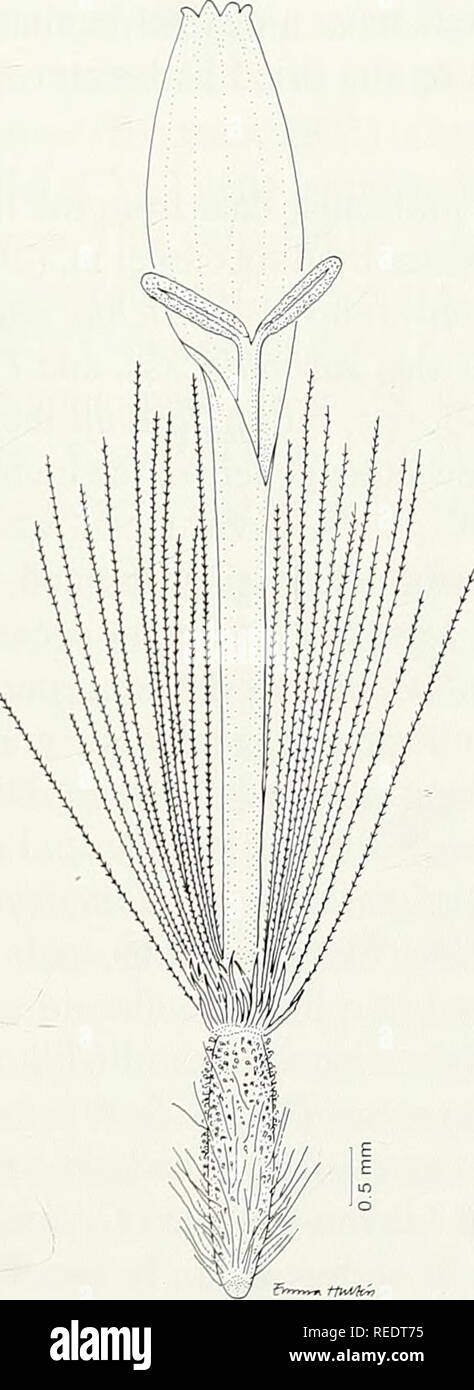 1991 bc hi-res stock photography and images - Alamy