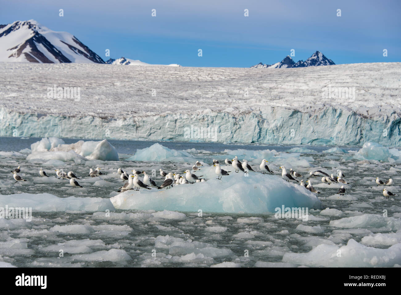 Arctic landscape in Svalbard Stock Photo - Alamy