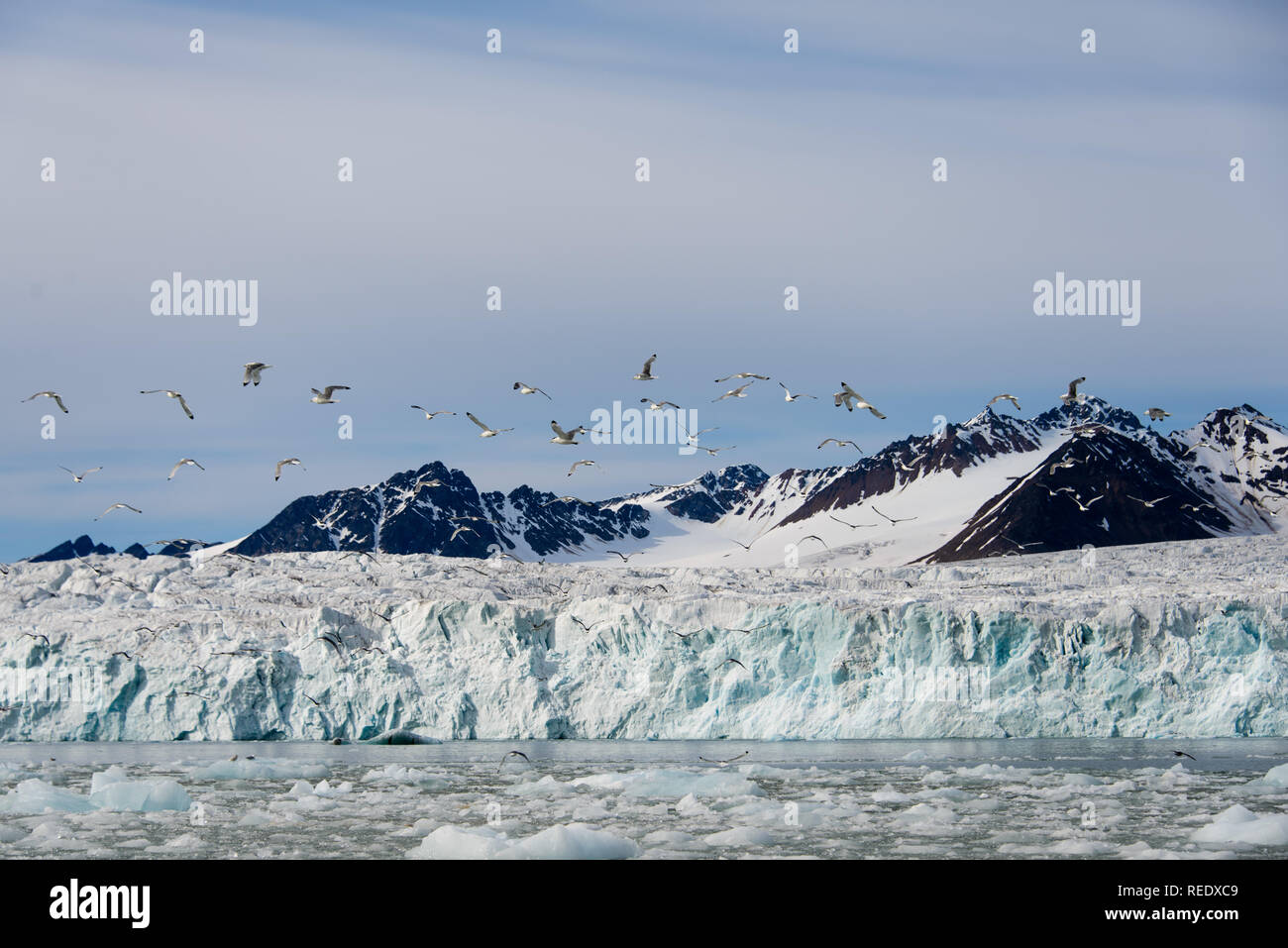 Arctic landscape in Svalbard Stock Photo - Alamy