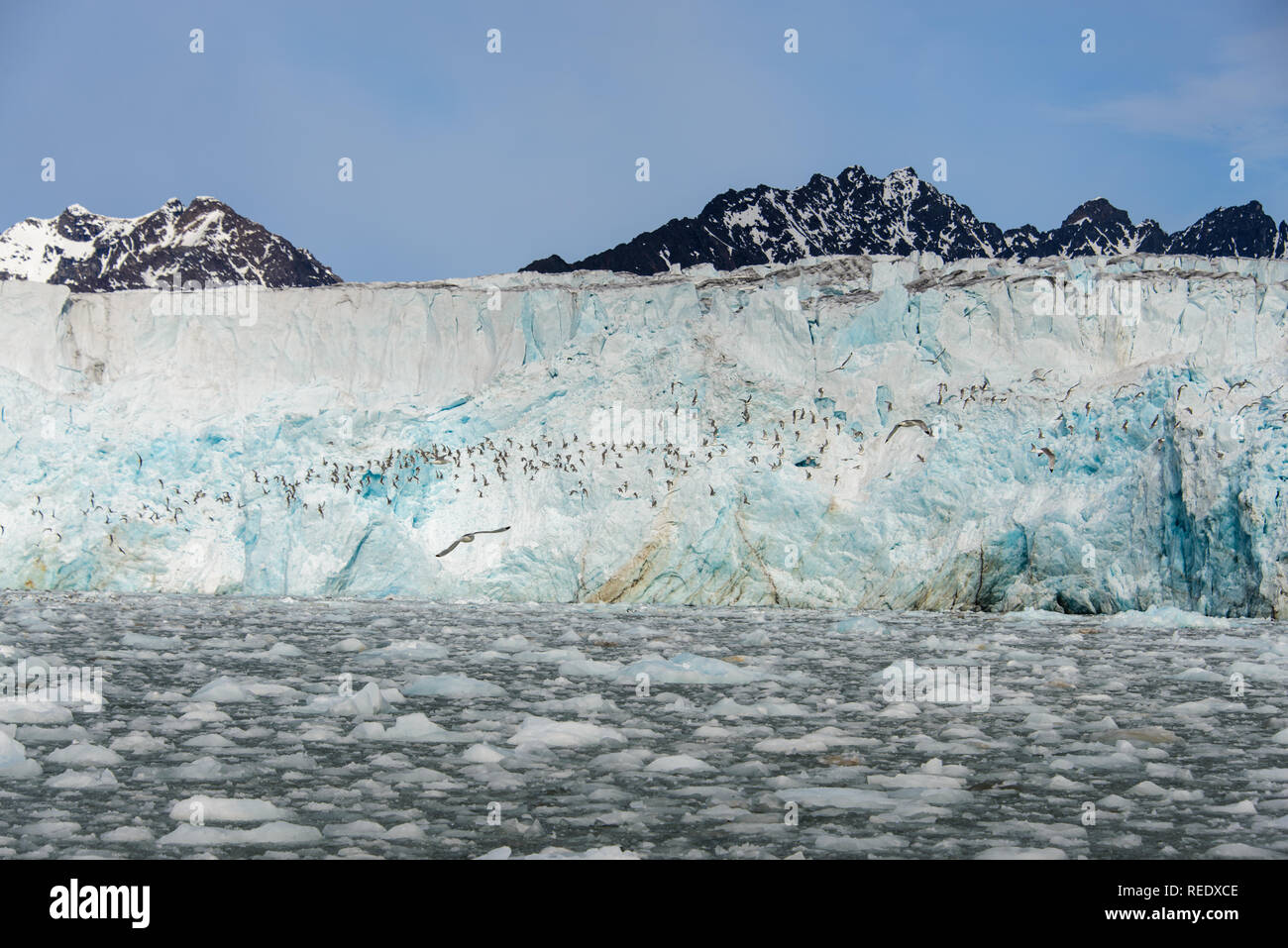 Arctic landscape in Svalbard Stock Photo - Alamy