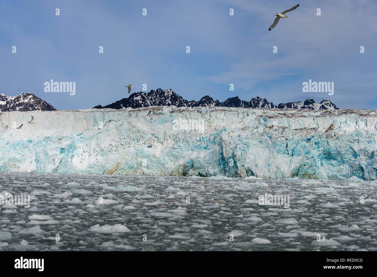 Arctic landscape in Svalbard Stock Photo - Alamy