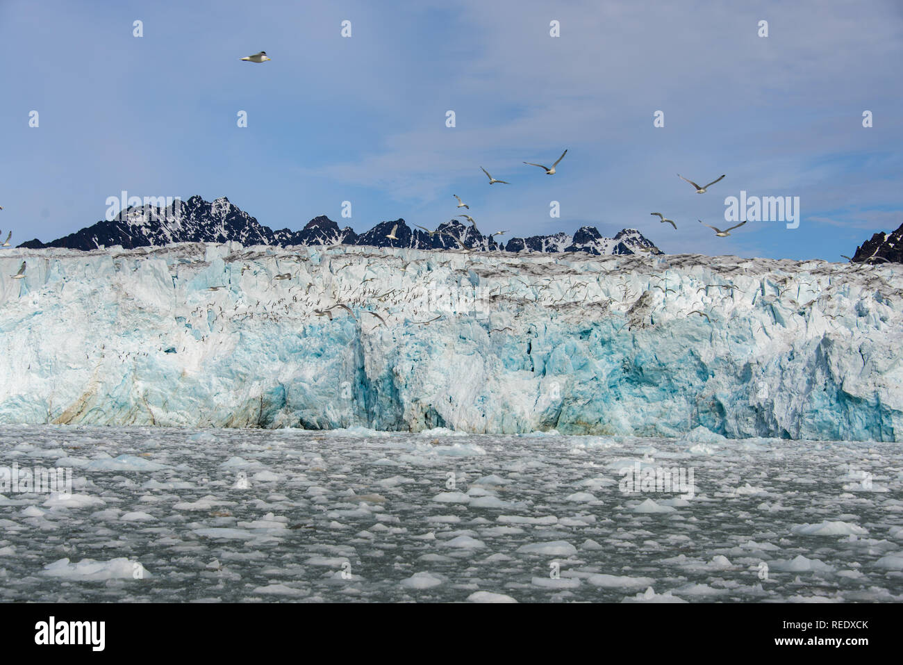 Arctic landscape in Svalbard Stock Photo - Alamy