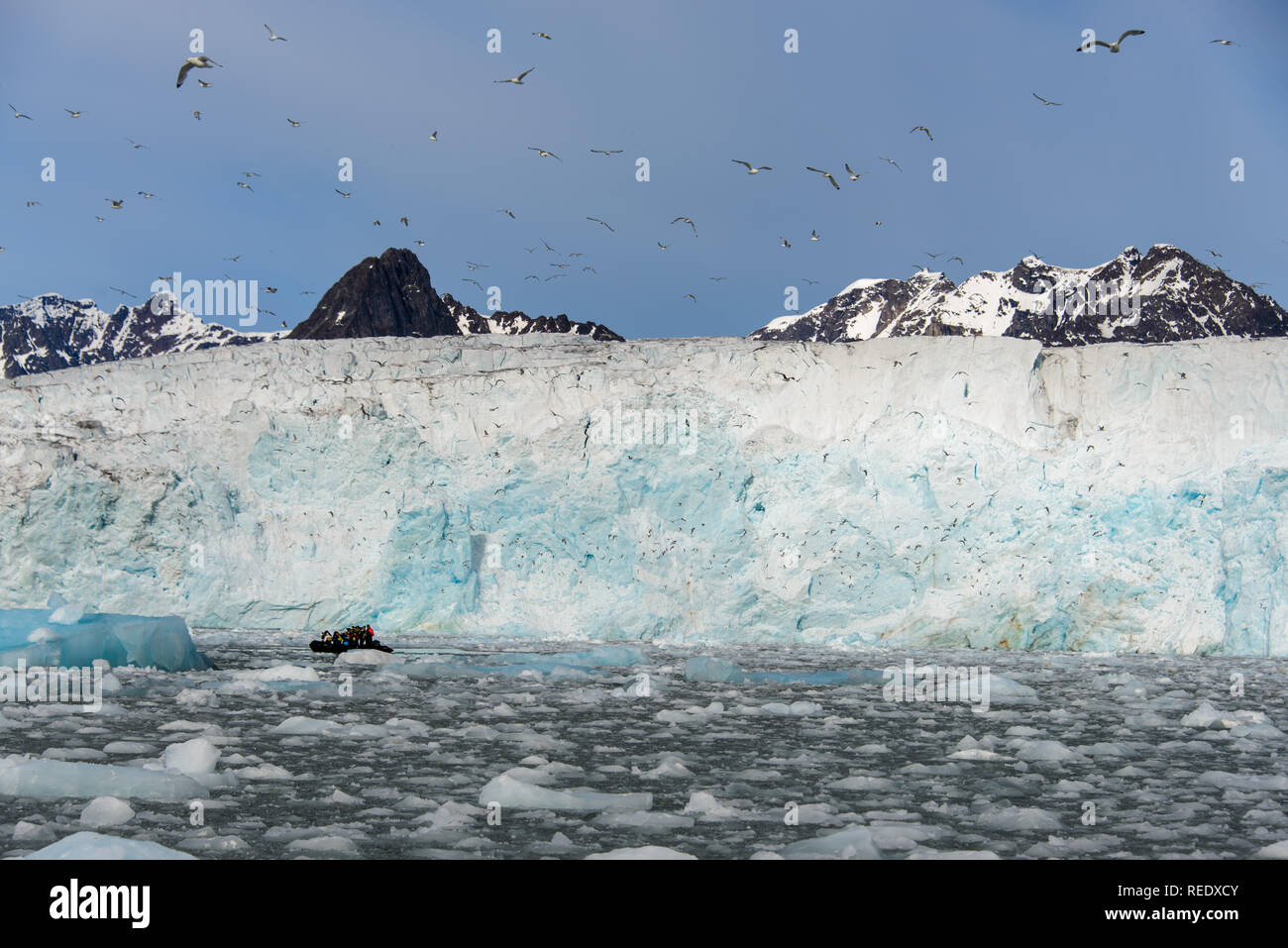 Arctic landscape in Svalbard Stock Photo - Alamy