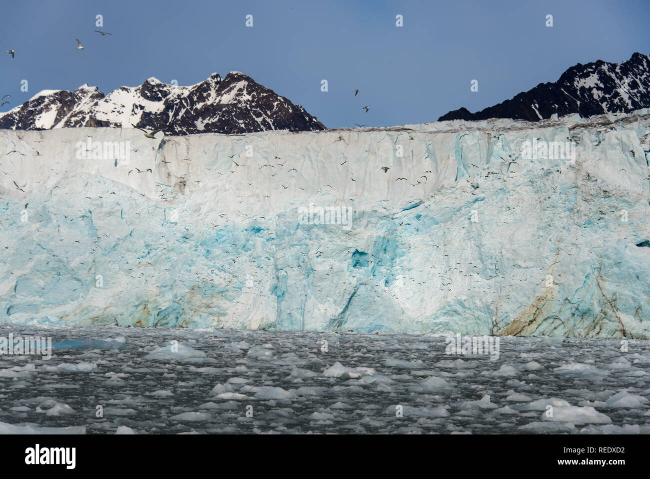 Arctic landscape in Svalbard Stock Photo - Alamy