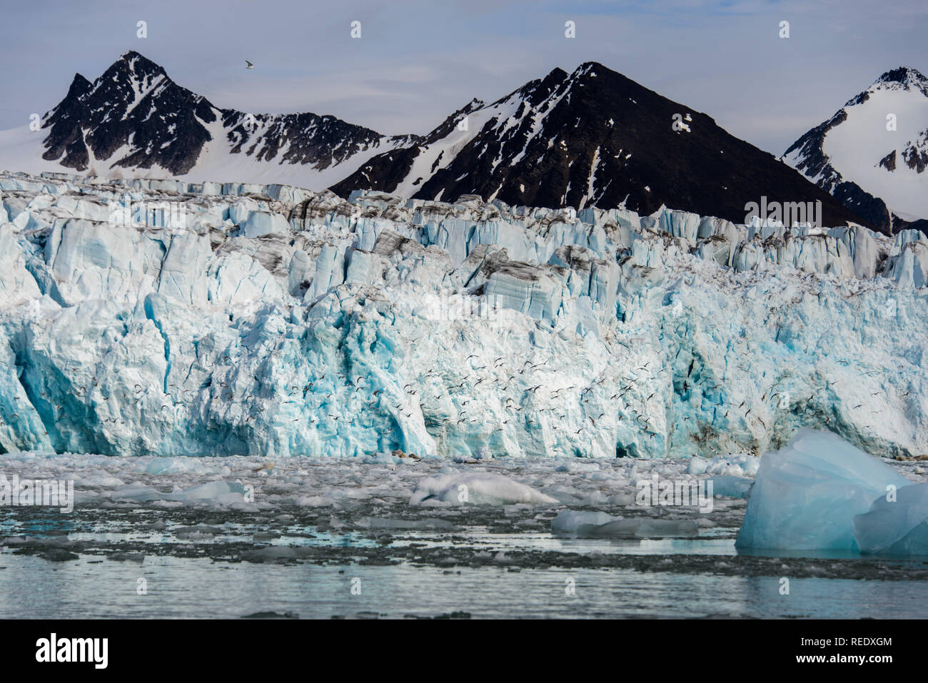 Arctic landscape in Svalbard Stock Photo - Alamy