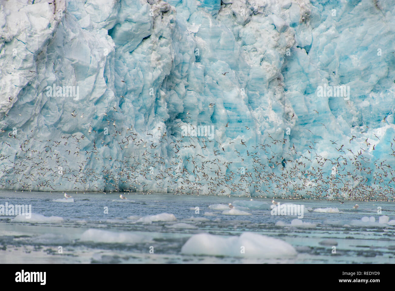 Arctic landscape in Svalbard Stock Photo - Alamy