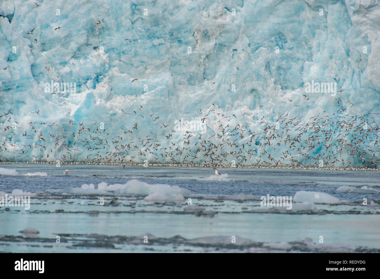 Arctic landscape in Svalbard Stock Photo - Alamy