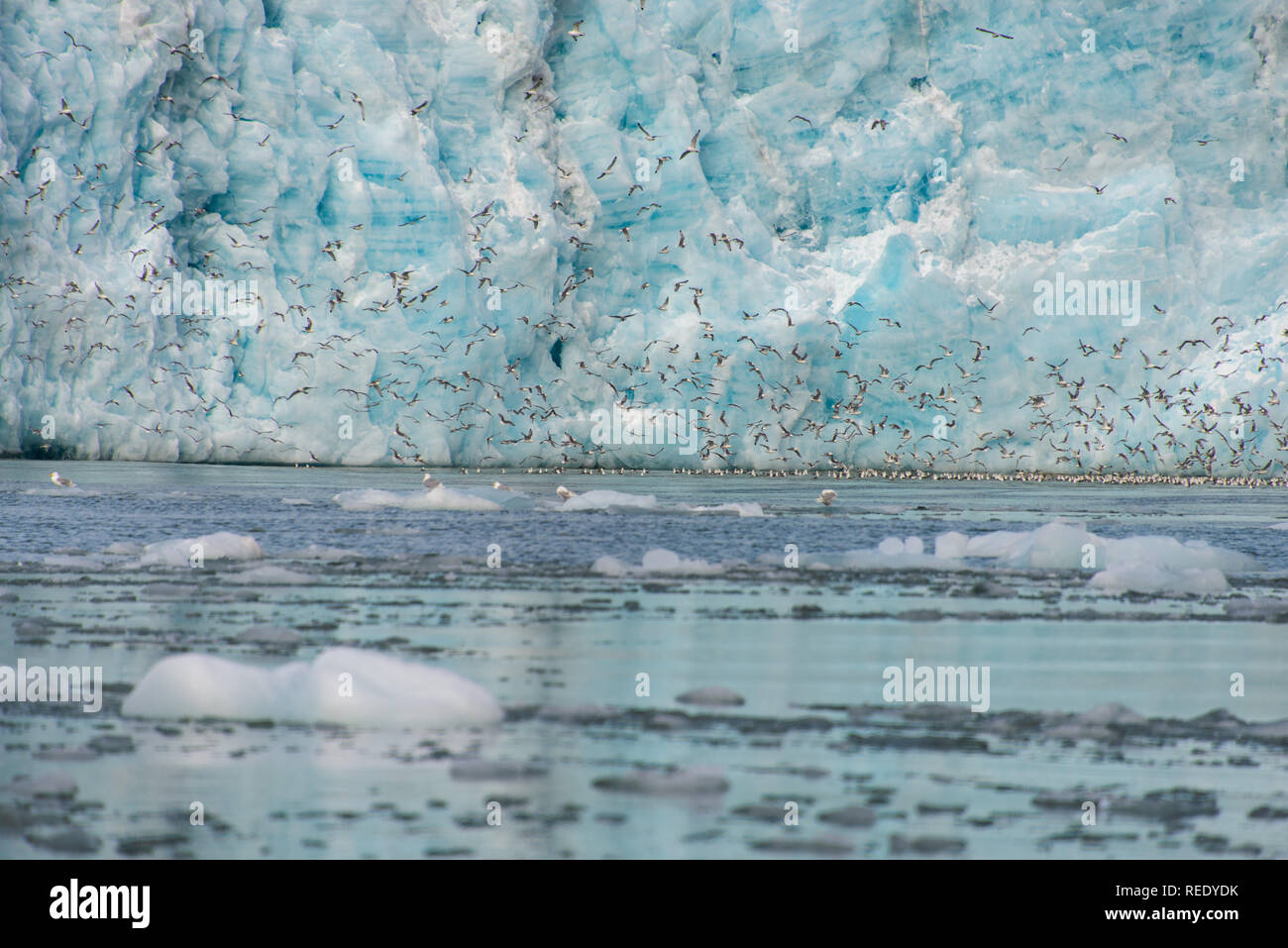 Arctic landscape in Svalbard Stock Photo - Alamy