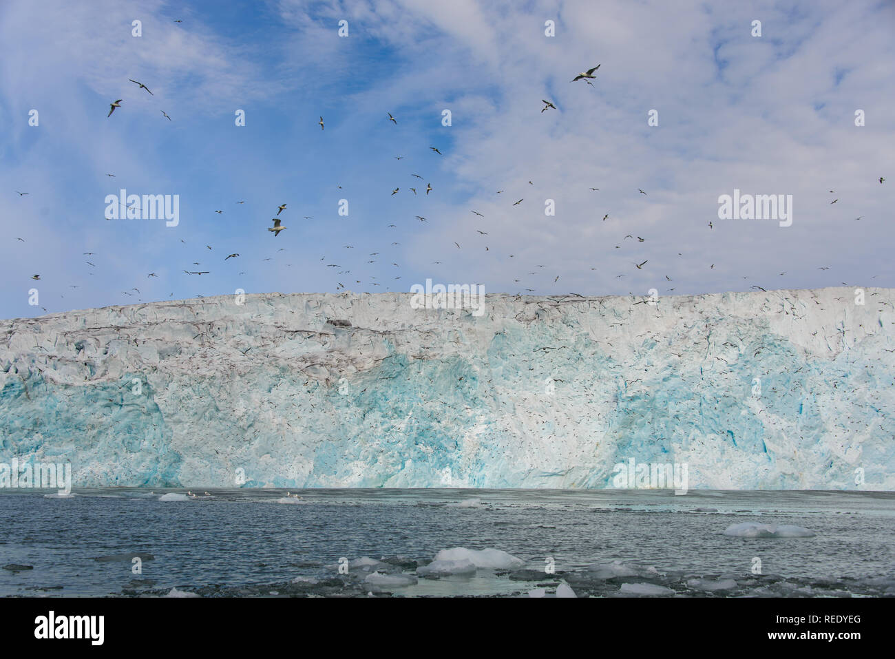 Arctic landscape in Svalbard Stock Photo - Alamy
