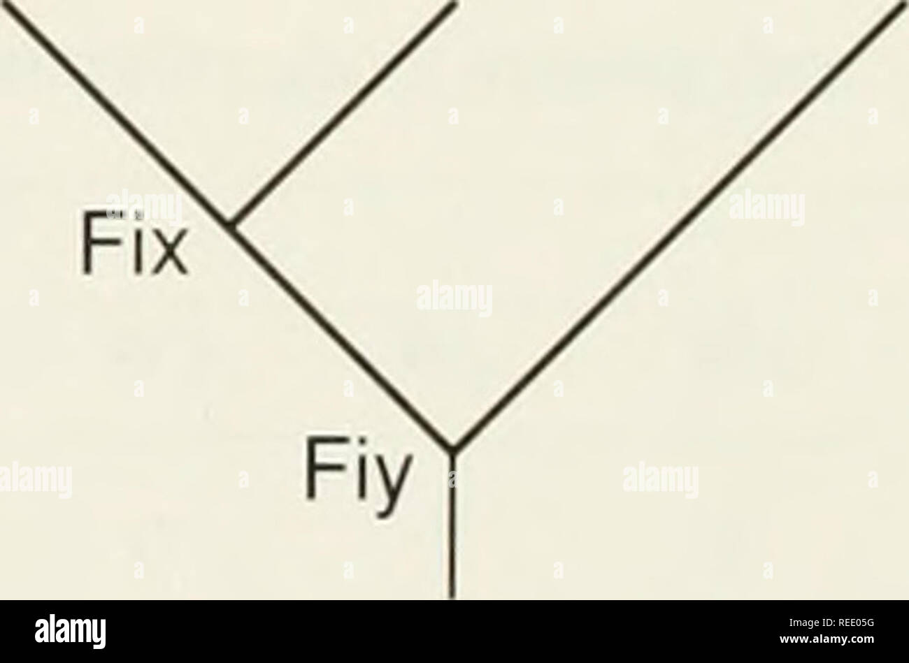 Labeled x hi-res stock photography and images - Alamy