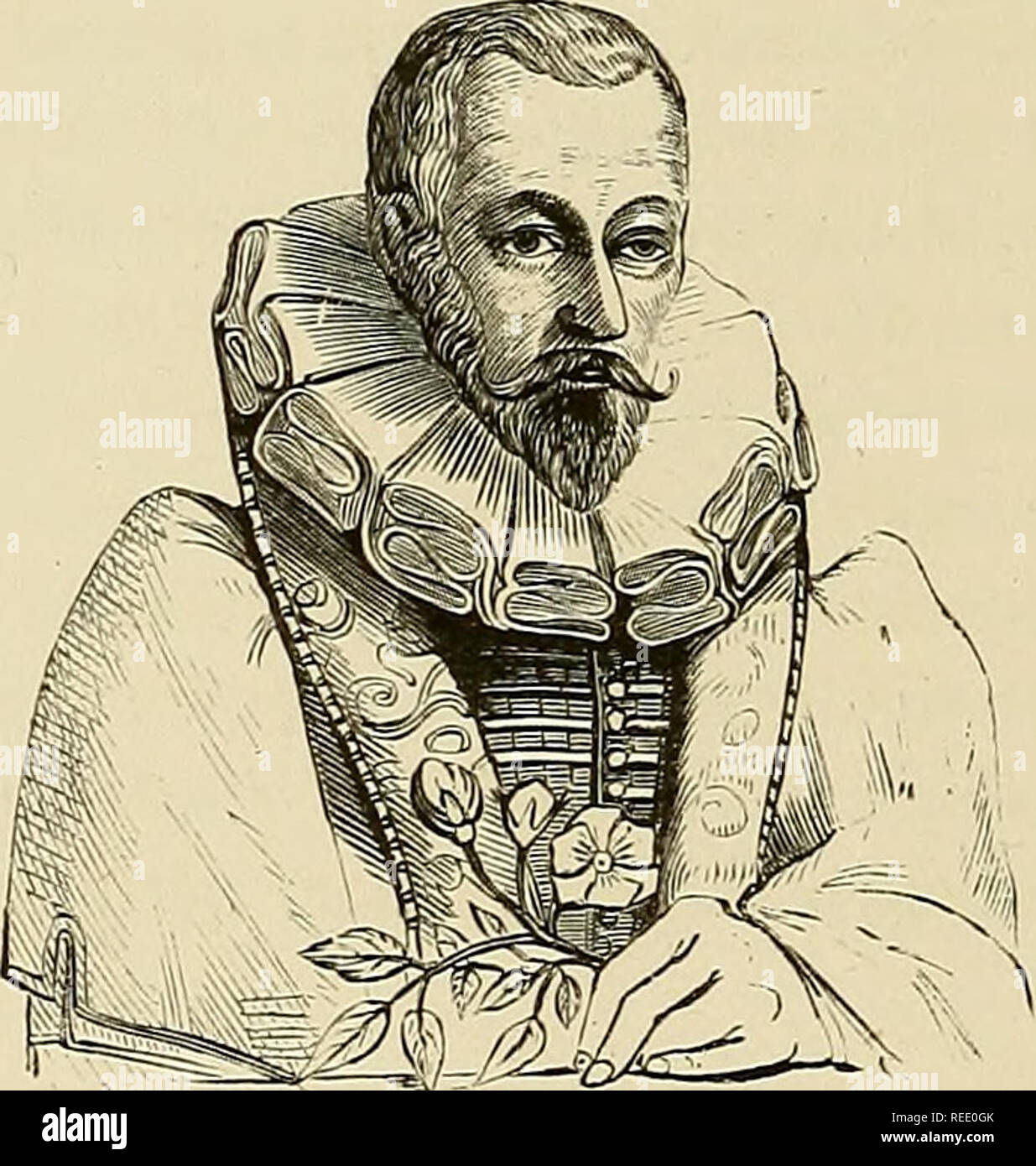 Mere trout hi-res stock photography and images - Alamy