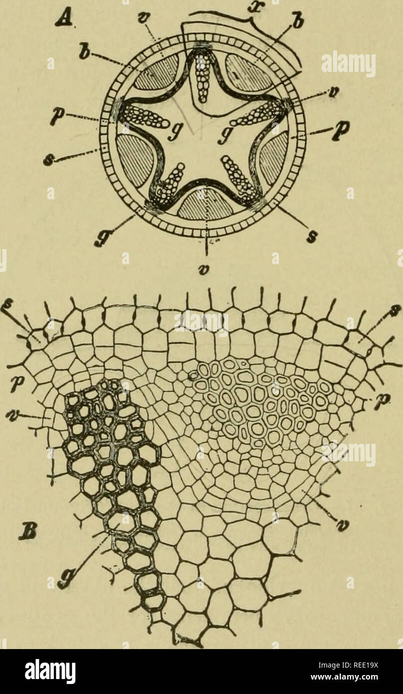 Hadrome hi-res stock photography and images - Alamy