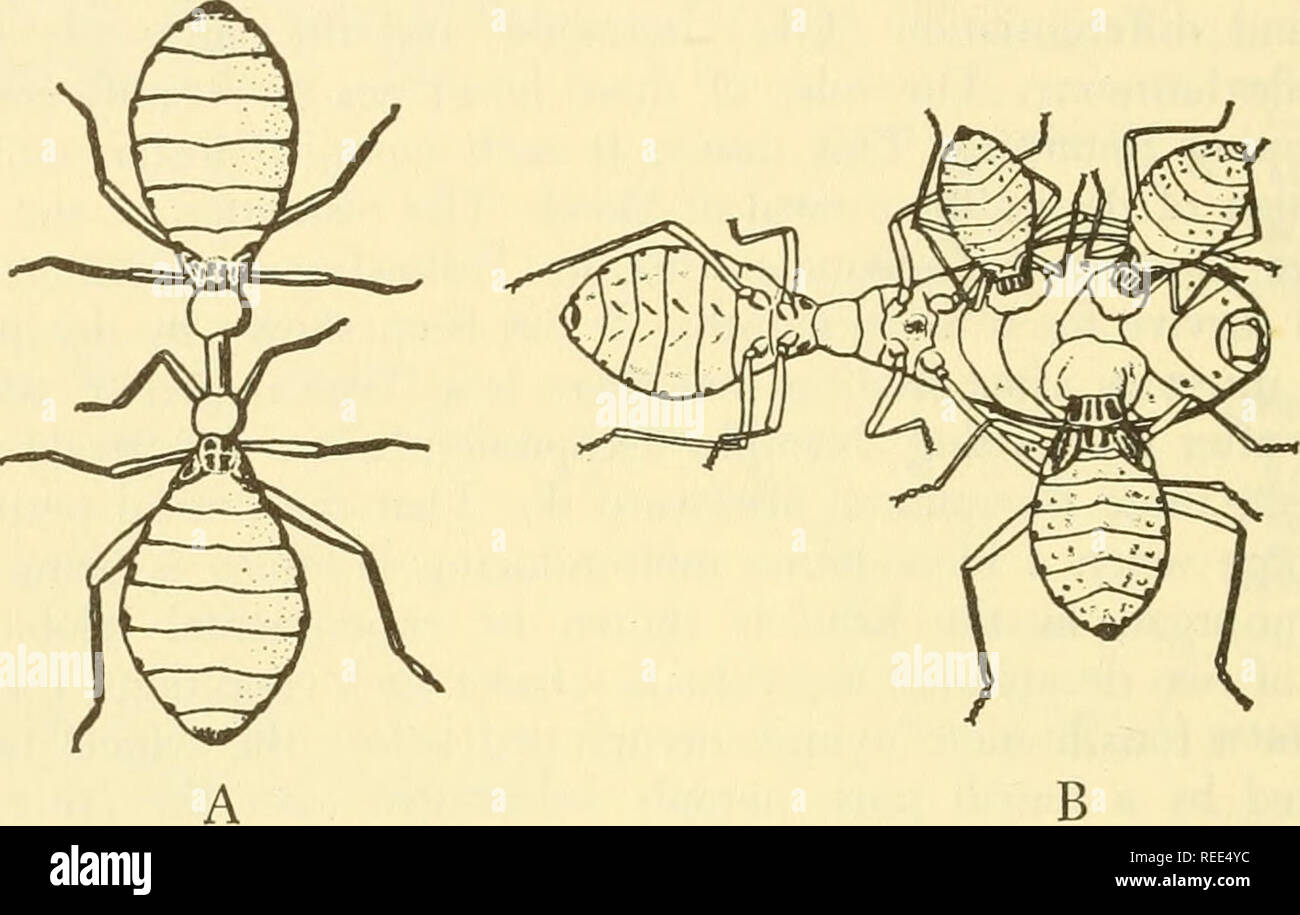 . Comparative animal physiology. Physiology, Comparative; Physiology ...
